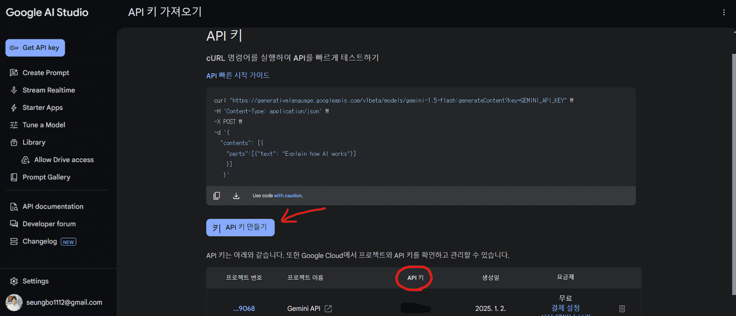 Flutter + Gemini API