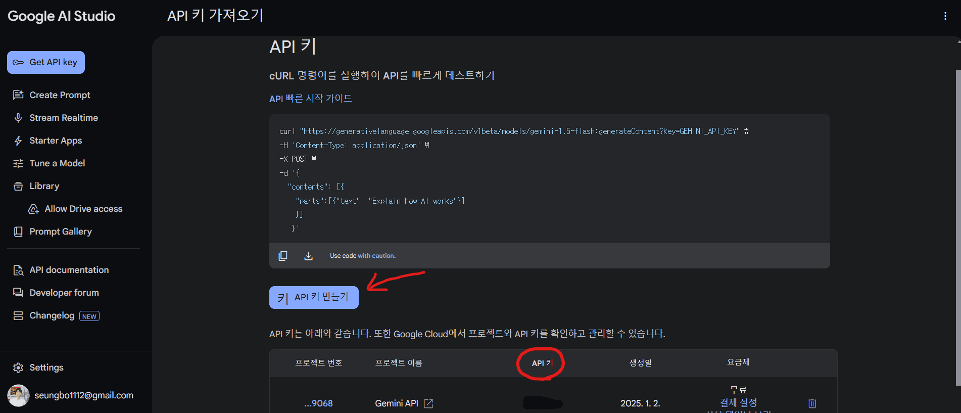 Flutter + Gemini API